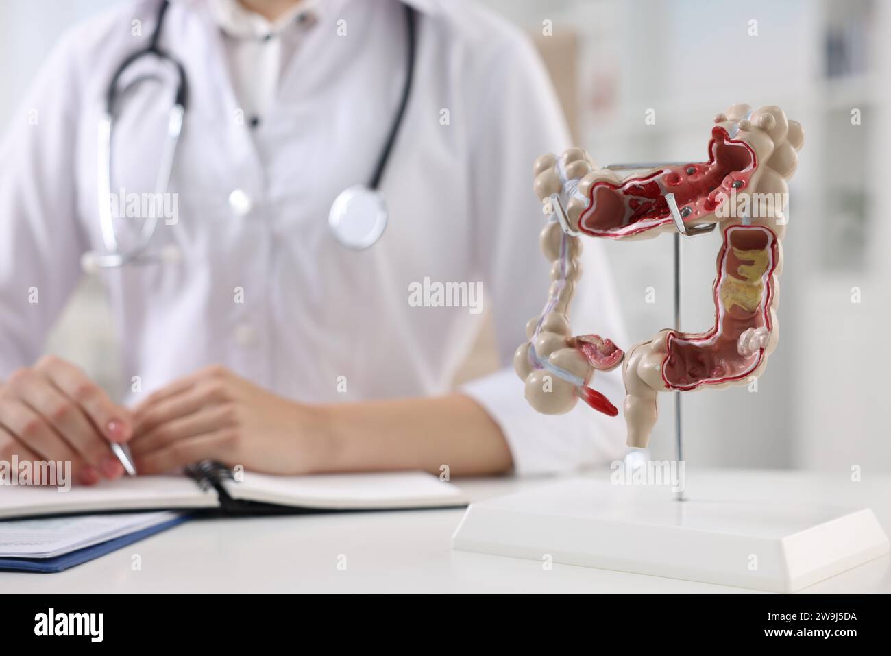 Gastroenterologist working at table in clinic, focus on anatomical ...
