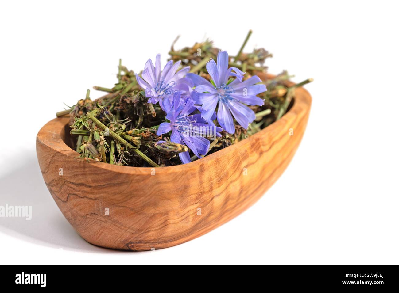 Dried chicory, Cichorium intybus, in front of white background Stock ...