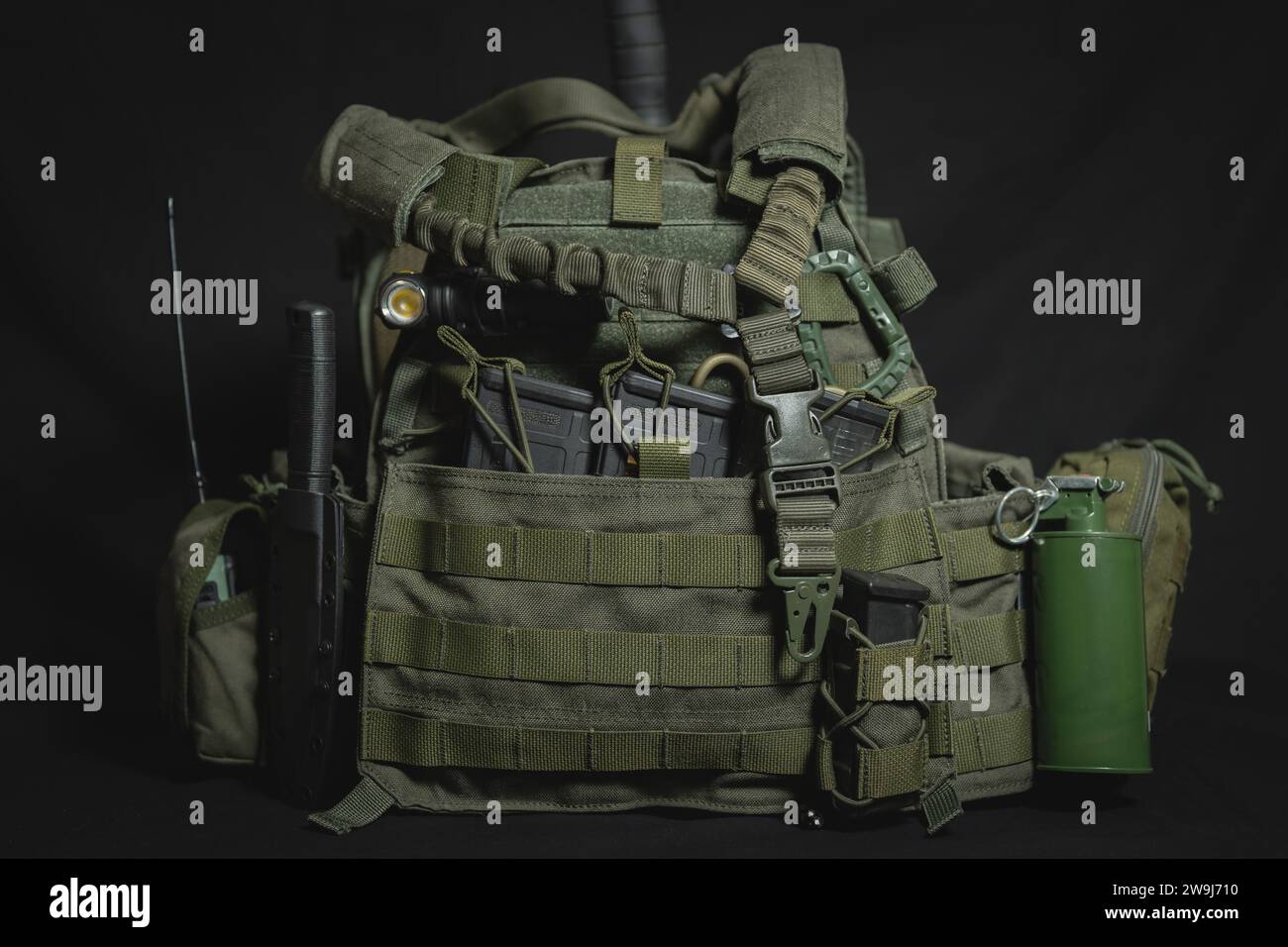 Tactical equipment, military plate carrier with rifle magazines and a ...