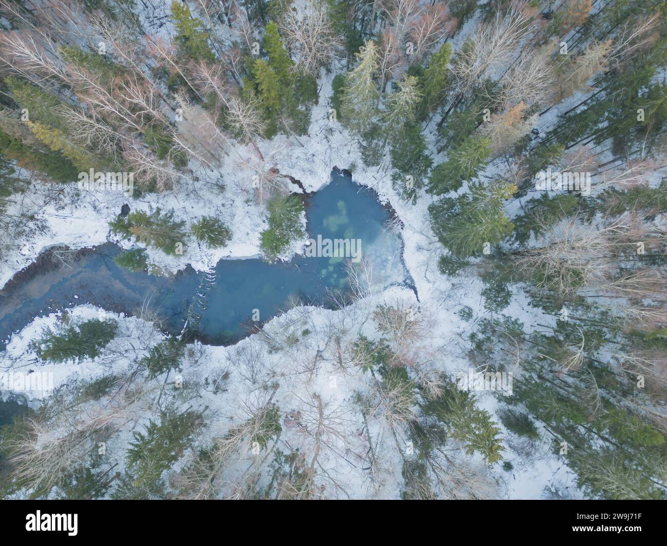 Nature of Estonia in winter. Local spring landmark Siniallikad in the ...