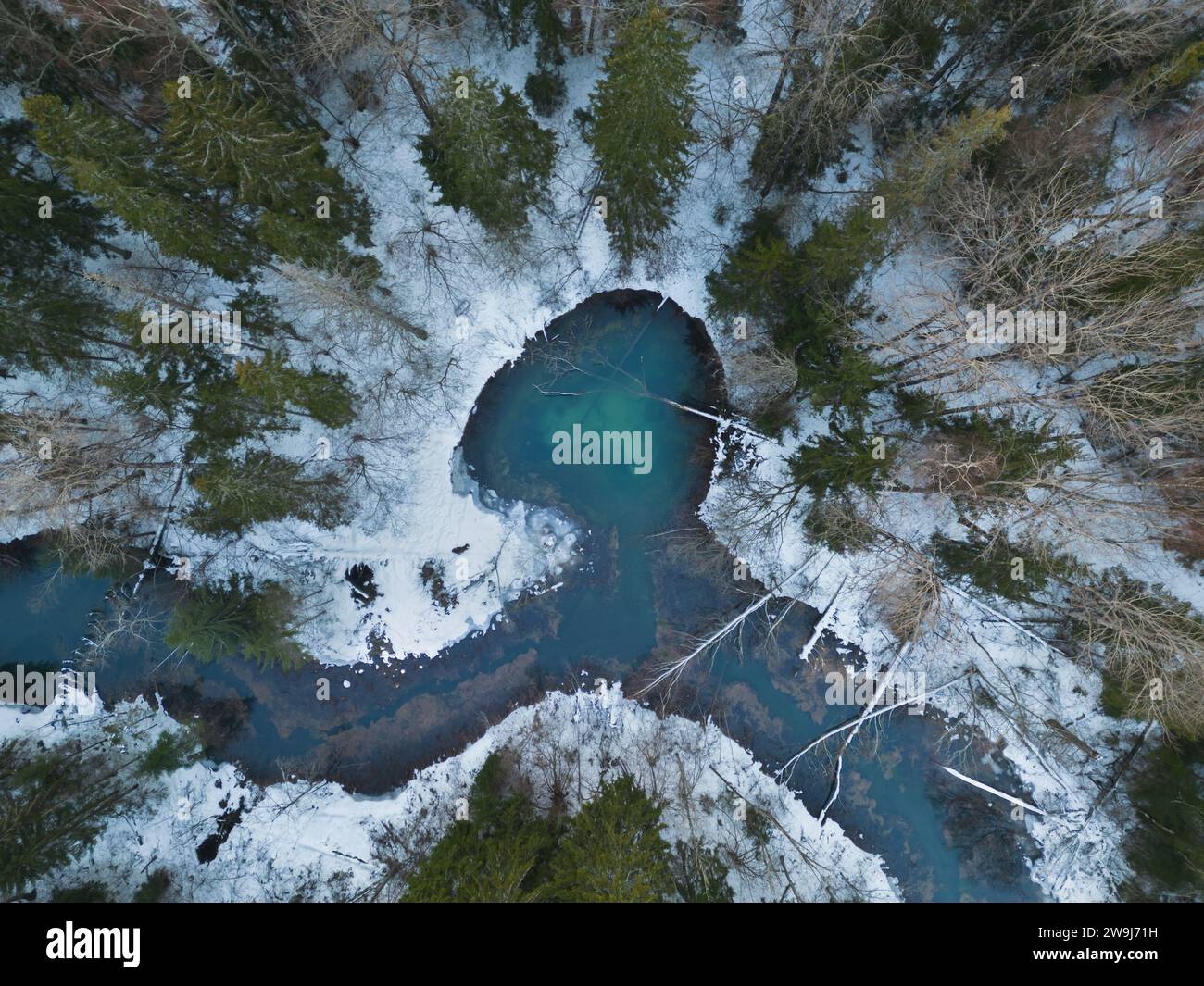 Nature of Estonia in winter. Local landmark spring Siniallikad in the ...