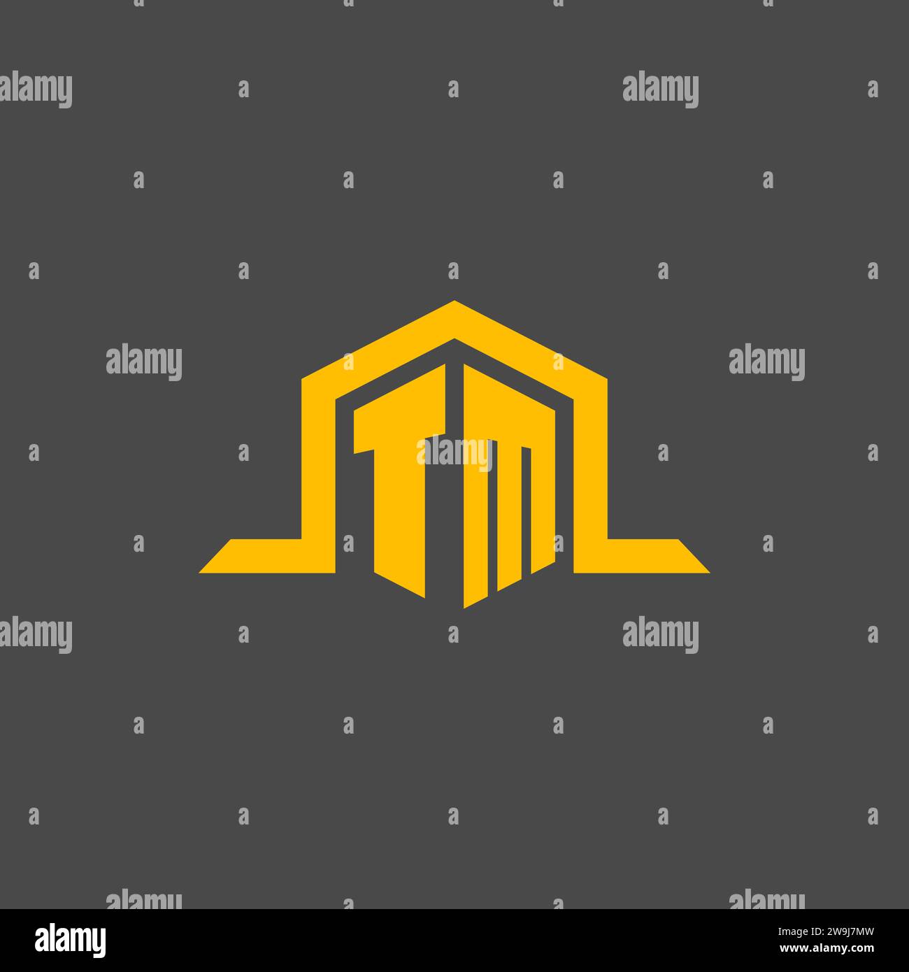 TM monogram initial logo with hexagon style design ideas Stock Vector ...