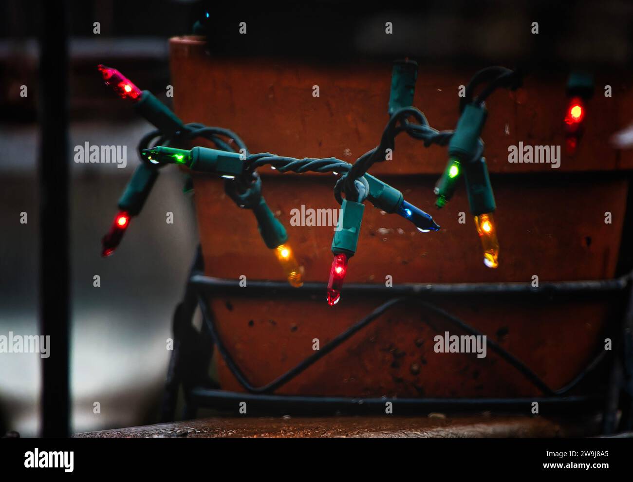 Outdoor Christmas lights on a misty evening Stock Photo - Alamy