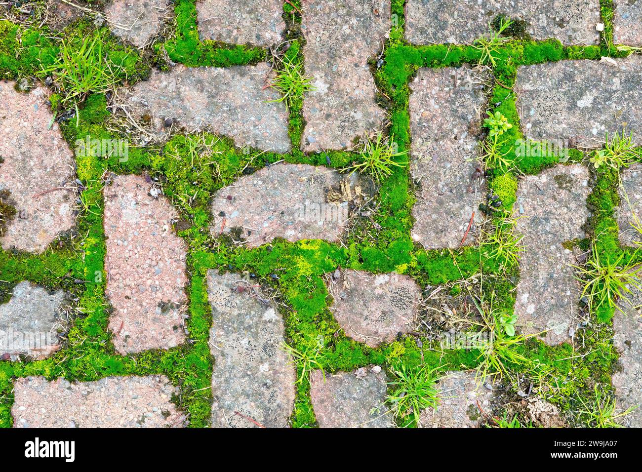 Grass paving block hi-res stock photography and images - Alamy