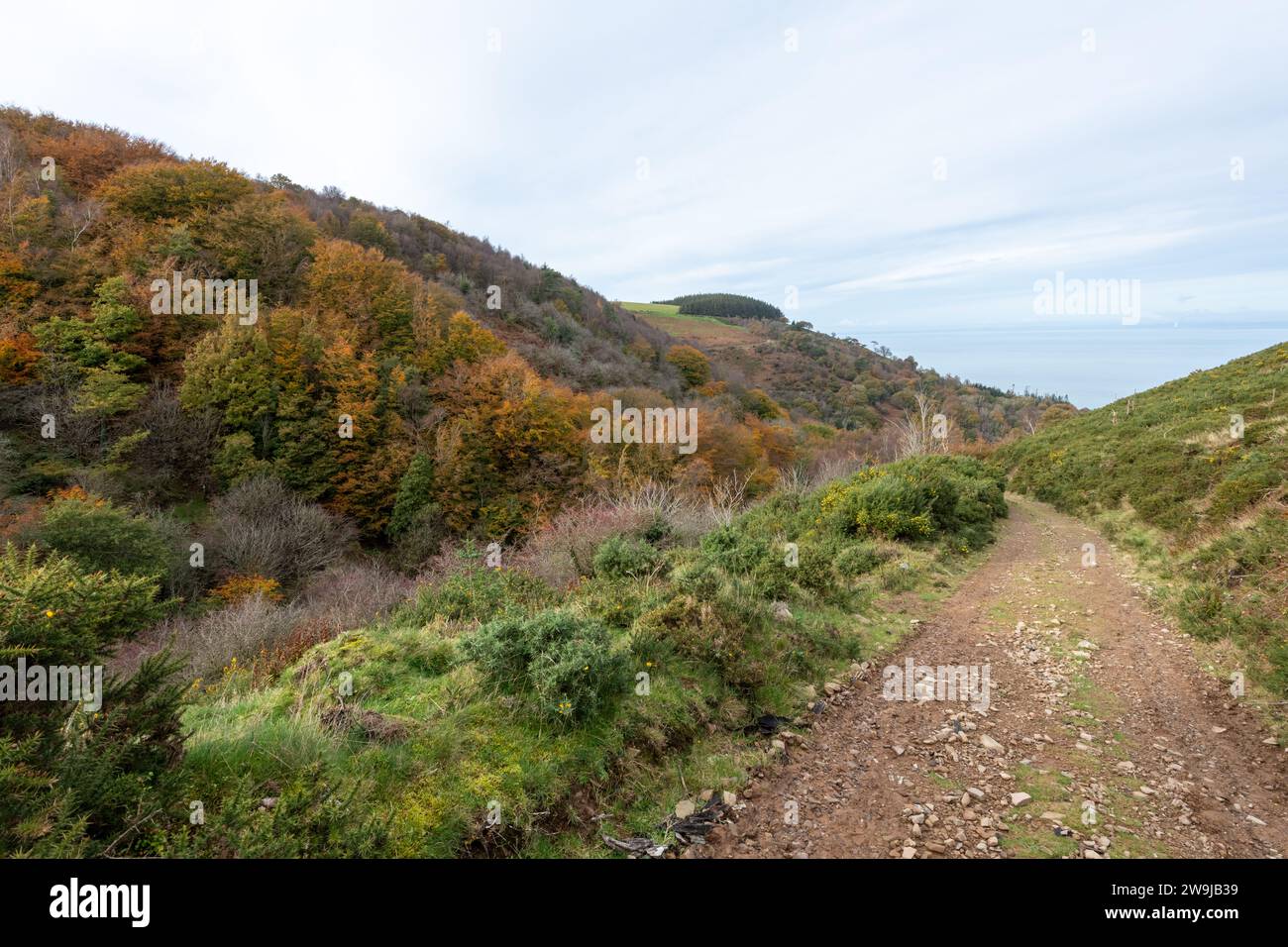 Photo of the autumn colours at Glenthorne in Exmoor National Park Stock ...