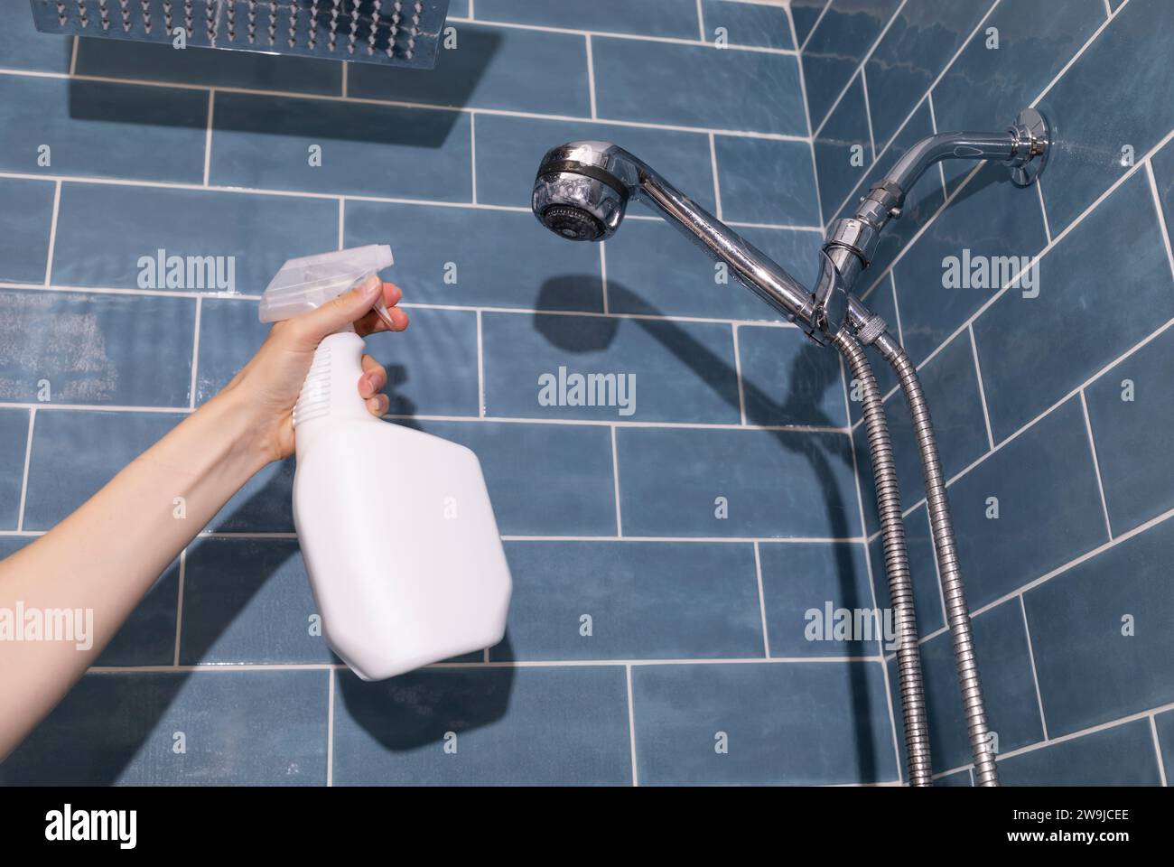 Universal Multi Function Hand Shower with Limescale, Chalky White ...