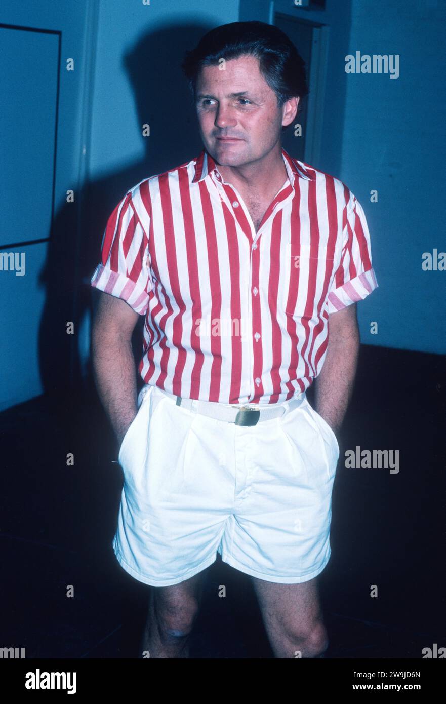 1991 Bruce Johnson of The Beach Boys John Barrett/PHOTOlink.net Stock ...