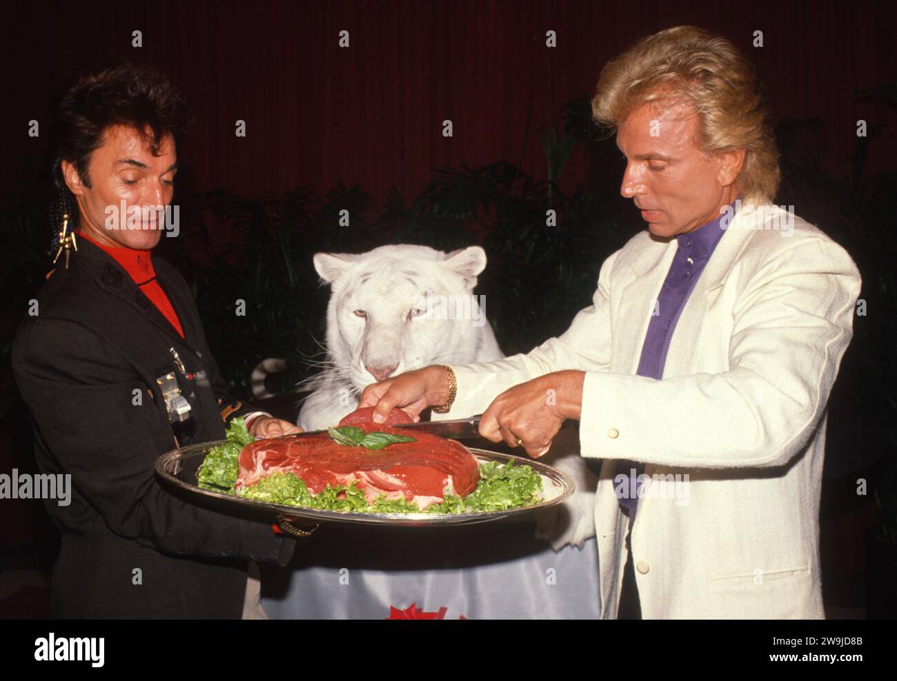 1987 Siegfried and Roy John Barrett/PHOTOlink.net Stock Photo - Alamy