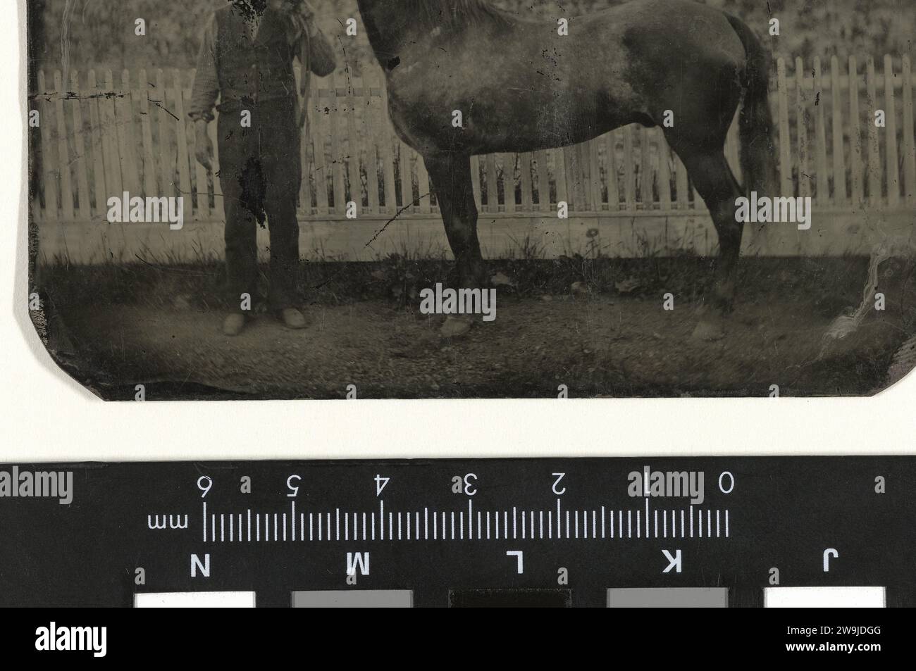 Man and horse (the man's face is scratched away), c. 1860 - c. 1900 ...