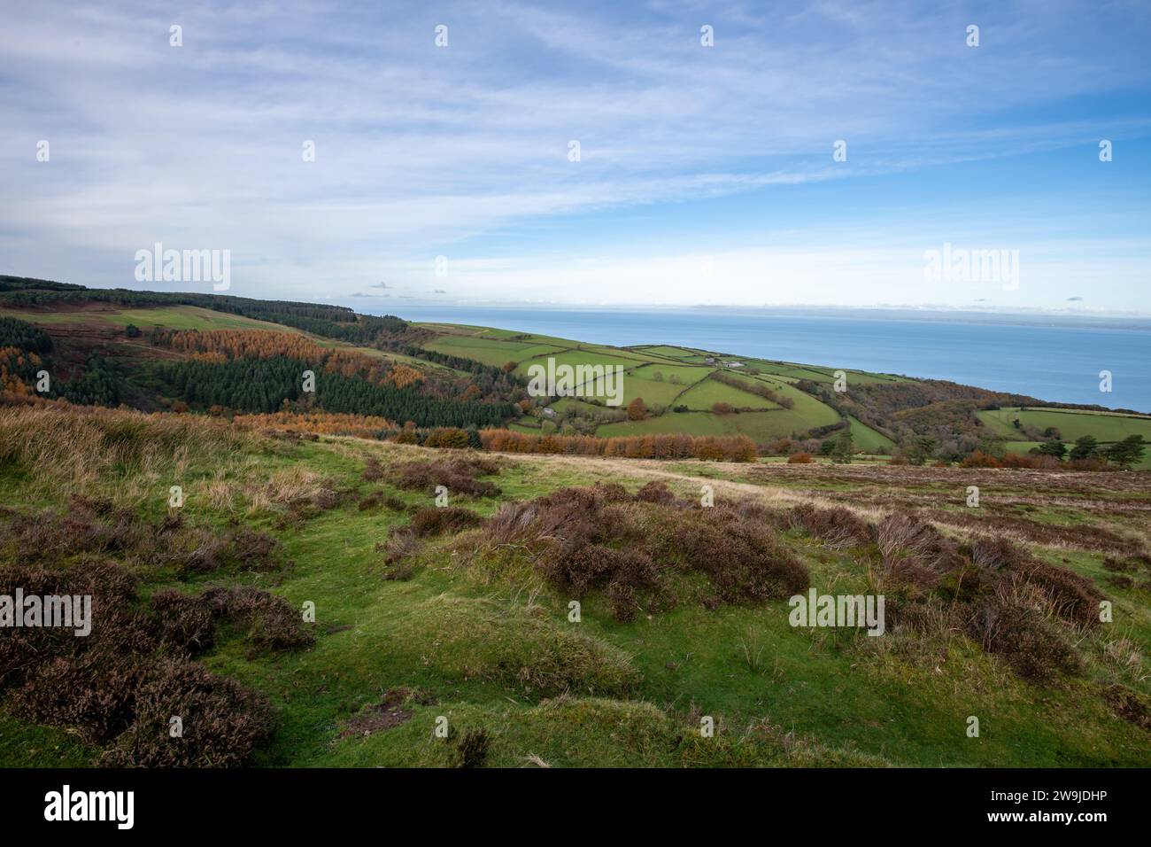 Landscape photo of the autumn colours on Porlock Common at the top of ...