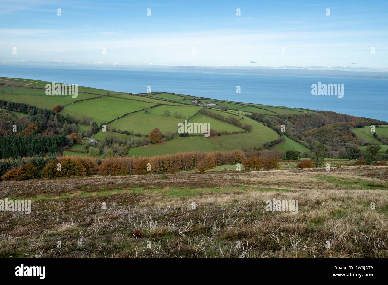 Landscape photo of the autumn colours on Porlock Common at the top of ...