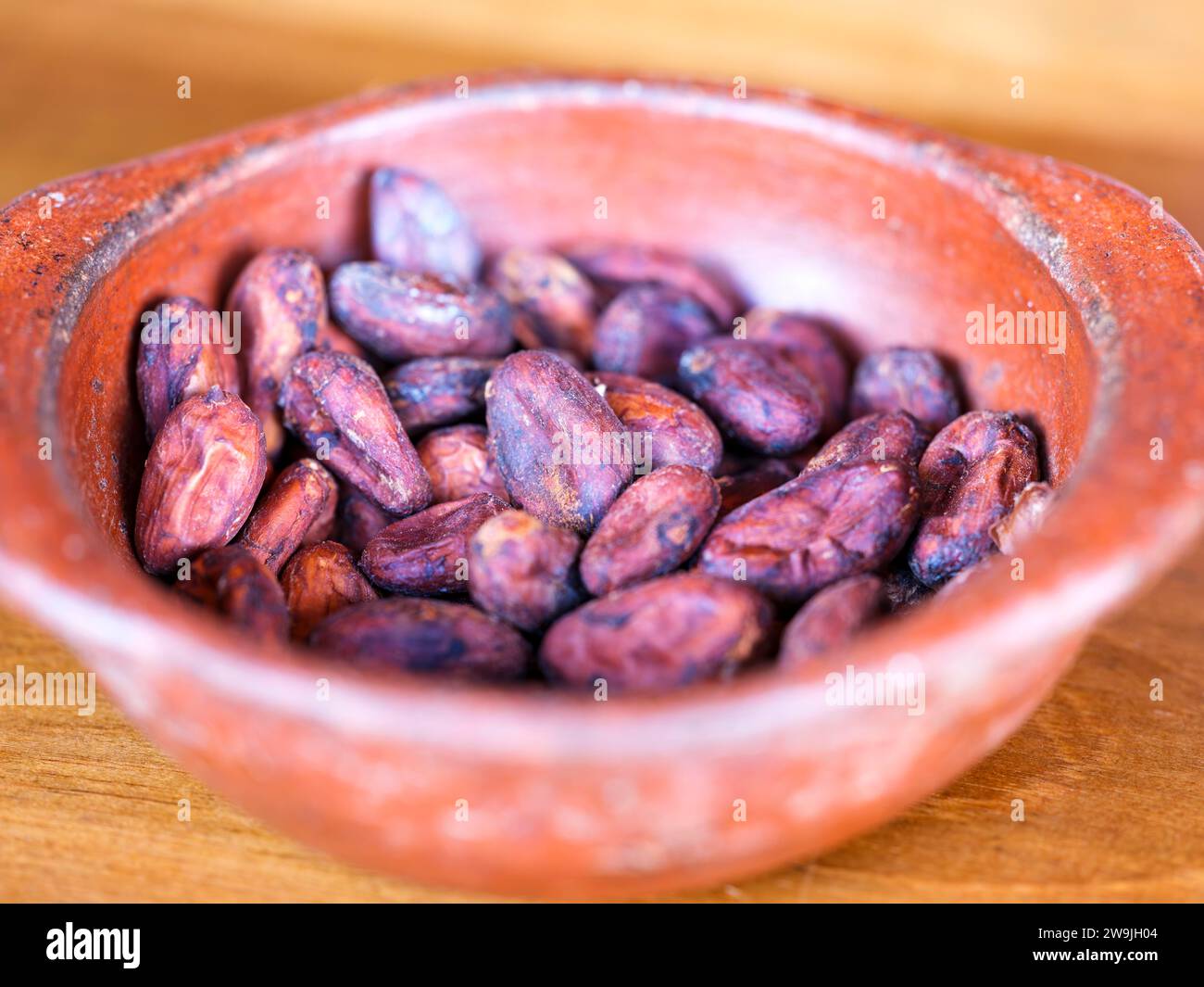 Roasted cocoa beans, Mindo, Pichincha province, Ecuador Stock Photo - Alamy