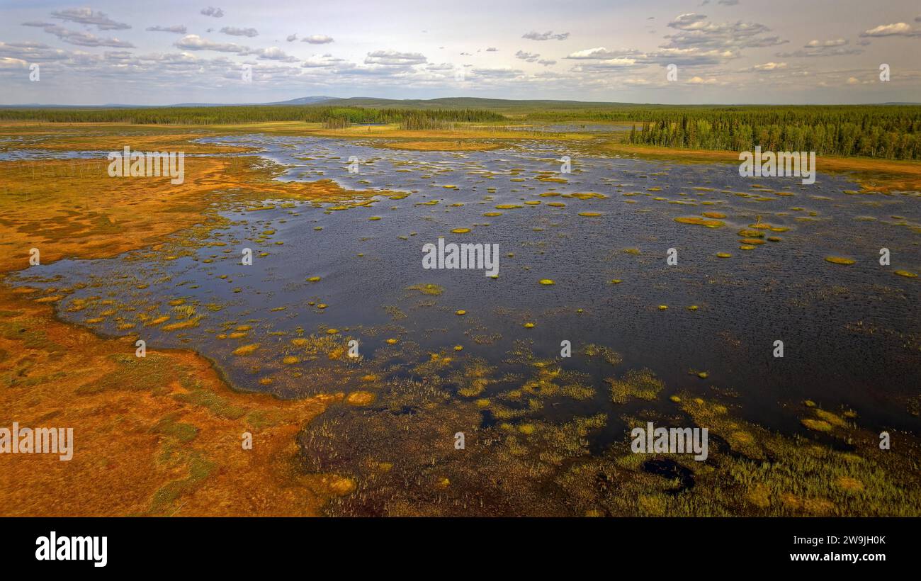 Drone image, view of a bog landscape with bog lake, intense colouring ...