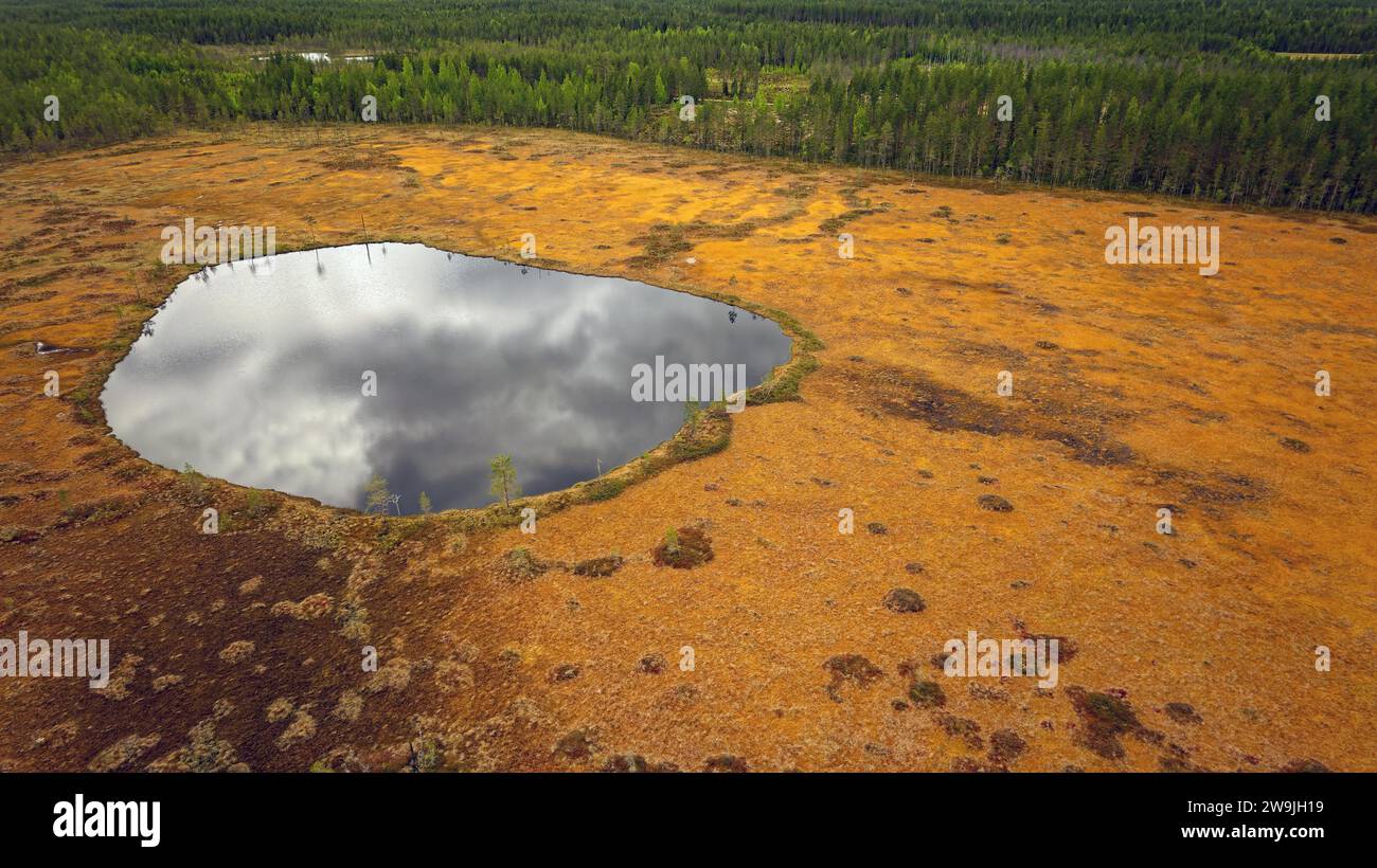 Drone image, view of a bog landscape with bog lake, intense colouring ...