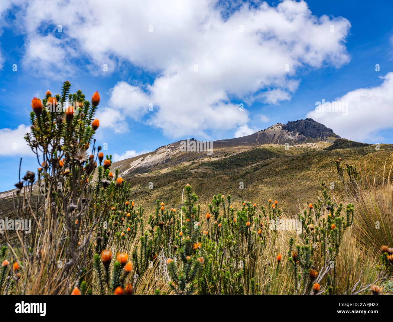 Pichincha volcano hi-res stock photography and images - Alamy