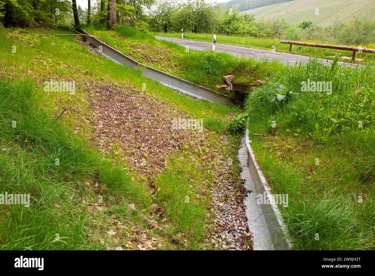Symbolic image, toad tunnel, animal welfare, tunnel for amphibians that ...