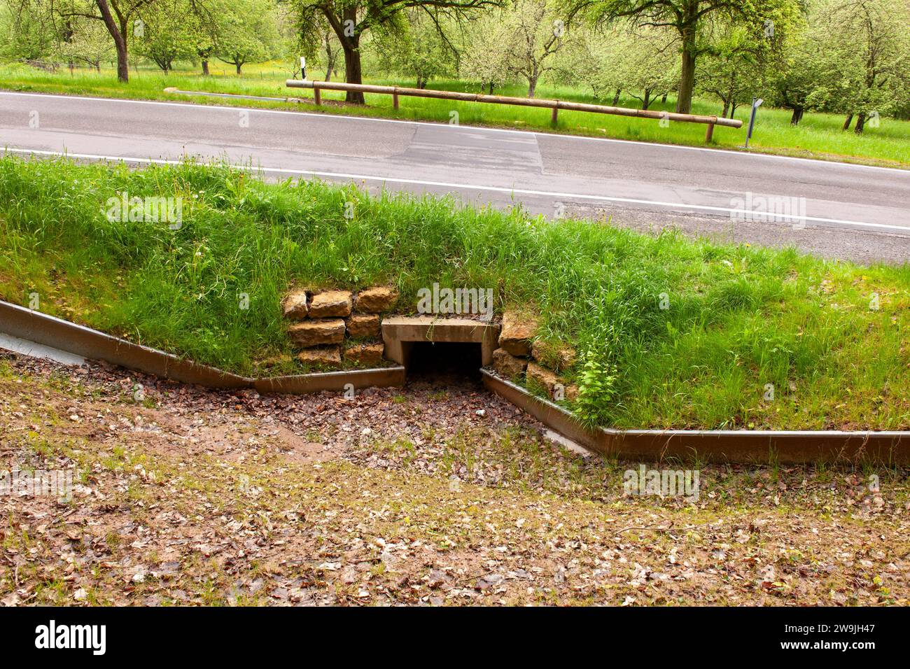 Symbolic image, toad tunnel, animal welfare, tunnel for amphibians that ...
