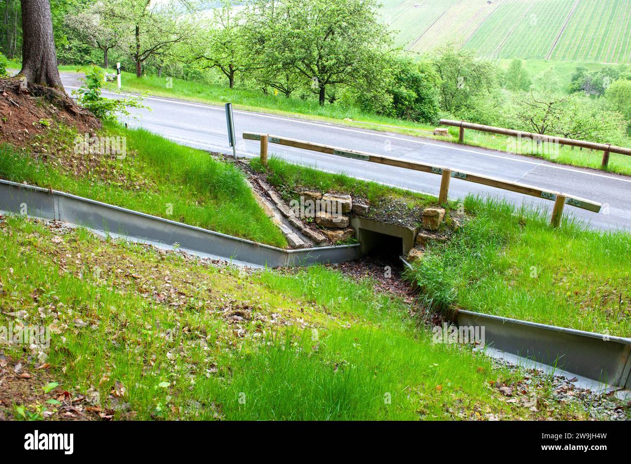 Symbolic image, toad tunnel, animal welfare, tunnel for amphibians that ...