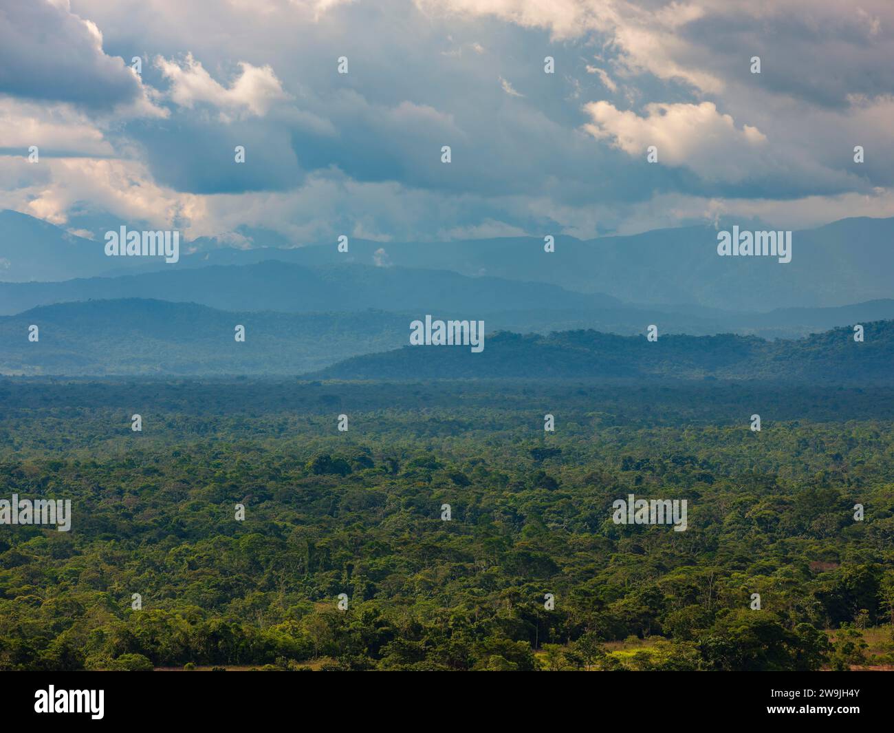 Dark clouds over the Amazon rainforest, Pastaza province, Ecuador Stock ...
