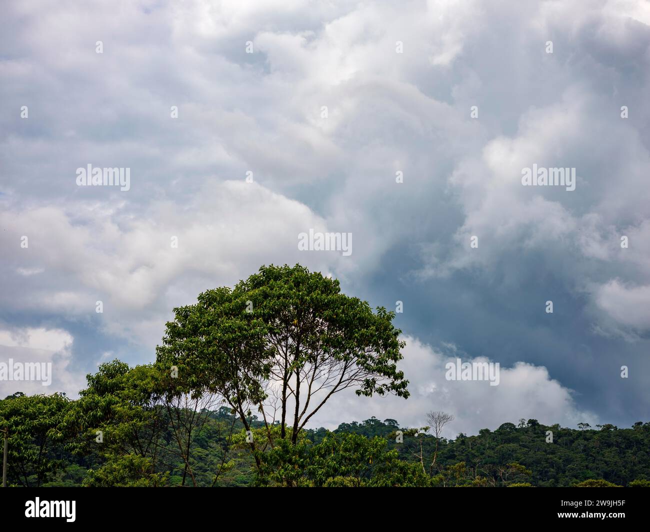 Dark clouds over the Amazon rainforest, Pastaza province, Ecuador Stock ...