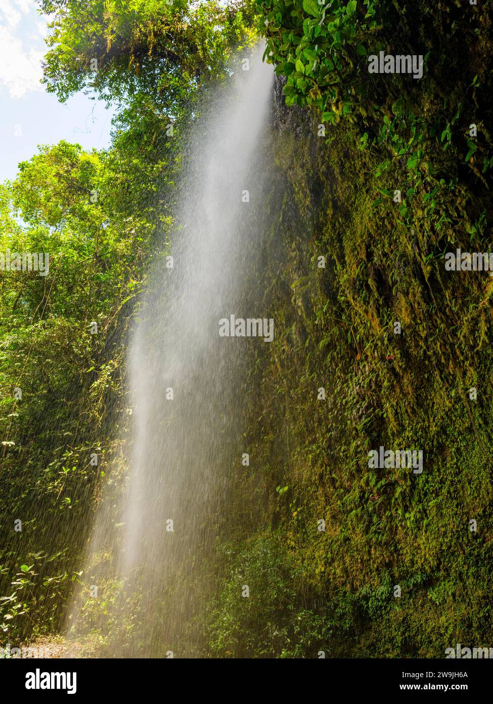 Cascada Hola Vida waterfall in the Amazon rainforest, Pastaza province ...