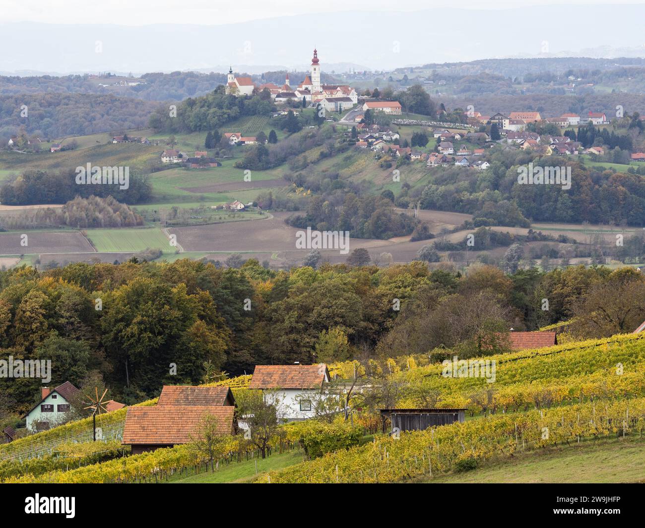 Vineyards in autumn, near Kloech, Straden with parish church Sankt ...