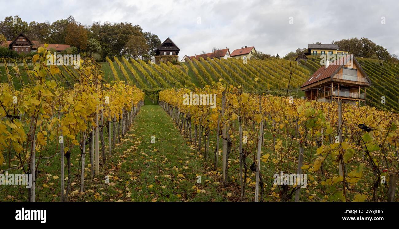 Vineyards in autumn, near Kloech, panoramic view, south-eastern Styrian ...