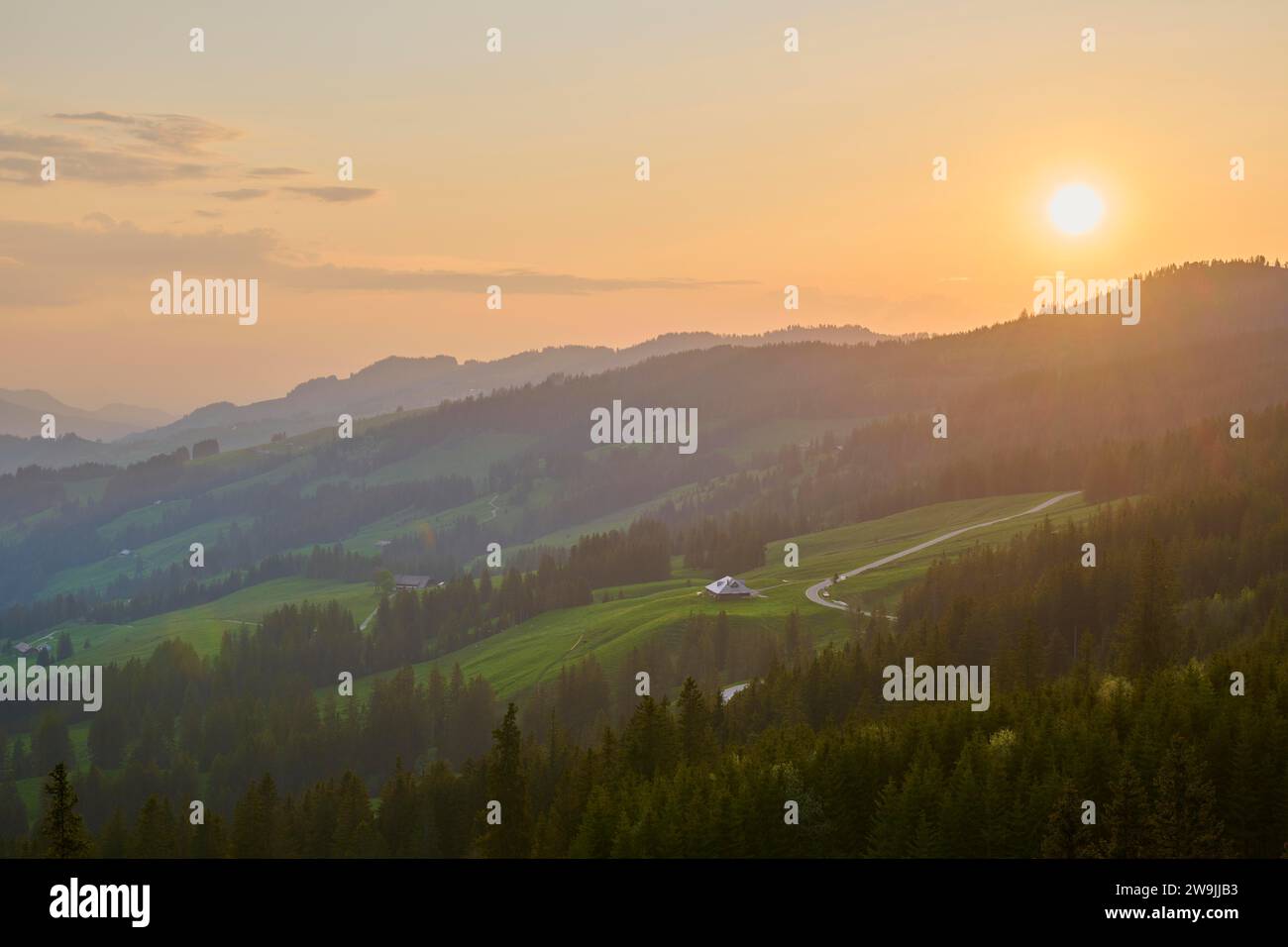 Sunset over a hilly landscape with trees and meadows in soothing ...