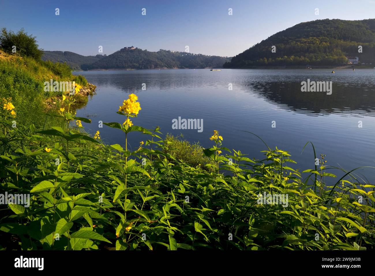 Frankenberg castle hi-res stock photography and images - Alamy