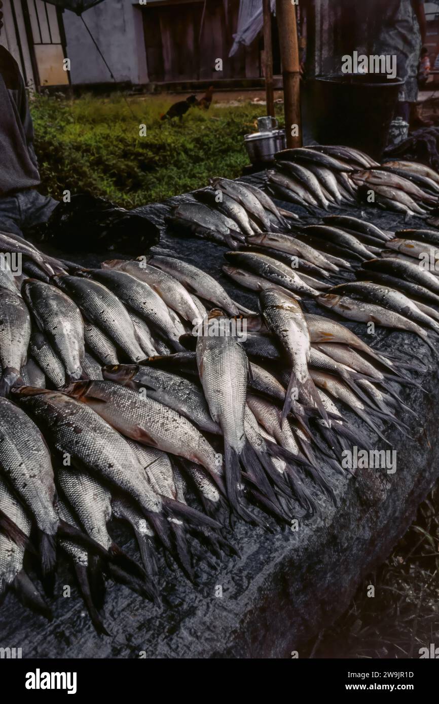 Floating market fish indonesia hi-res stock photography and images - Alamy