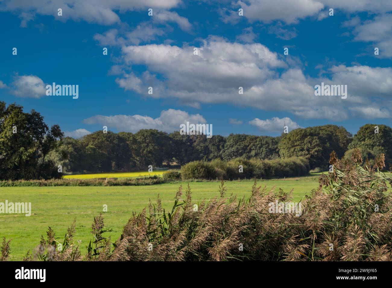 View over the valley landscape of the Rolder Diep river valley, part of ...