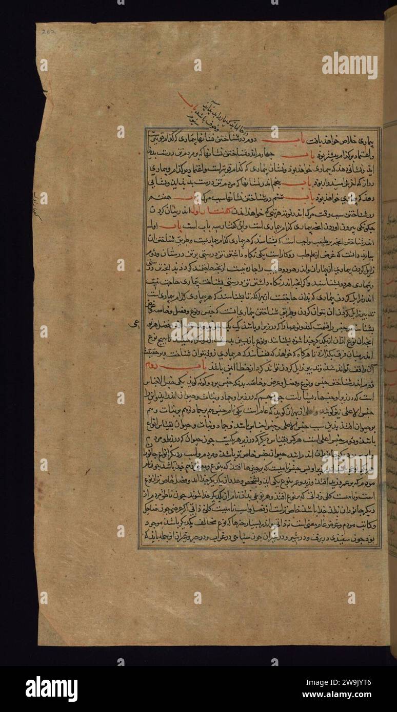 Zayn al-Din Isma'il ibn Hasan al-Jurjani - Leaf from Compendium of ...