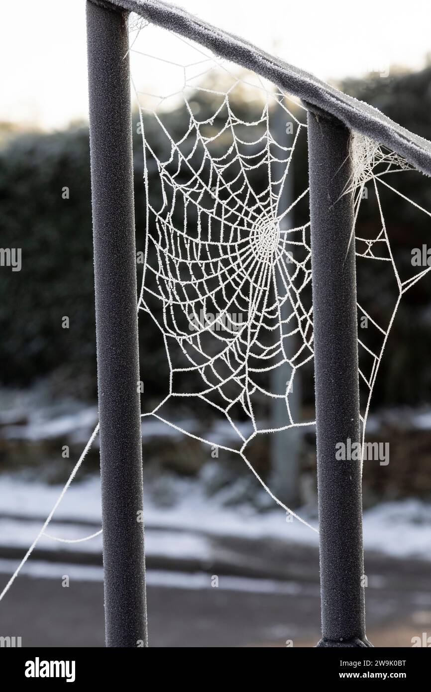 Frozen steel railings hi-res stock photography and images - Alamy