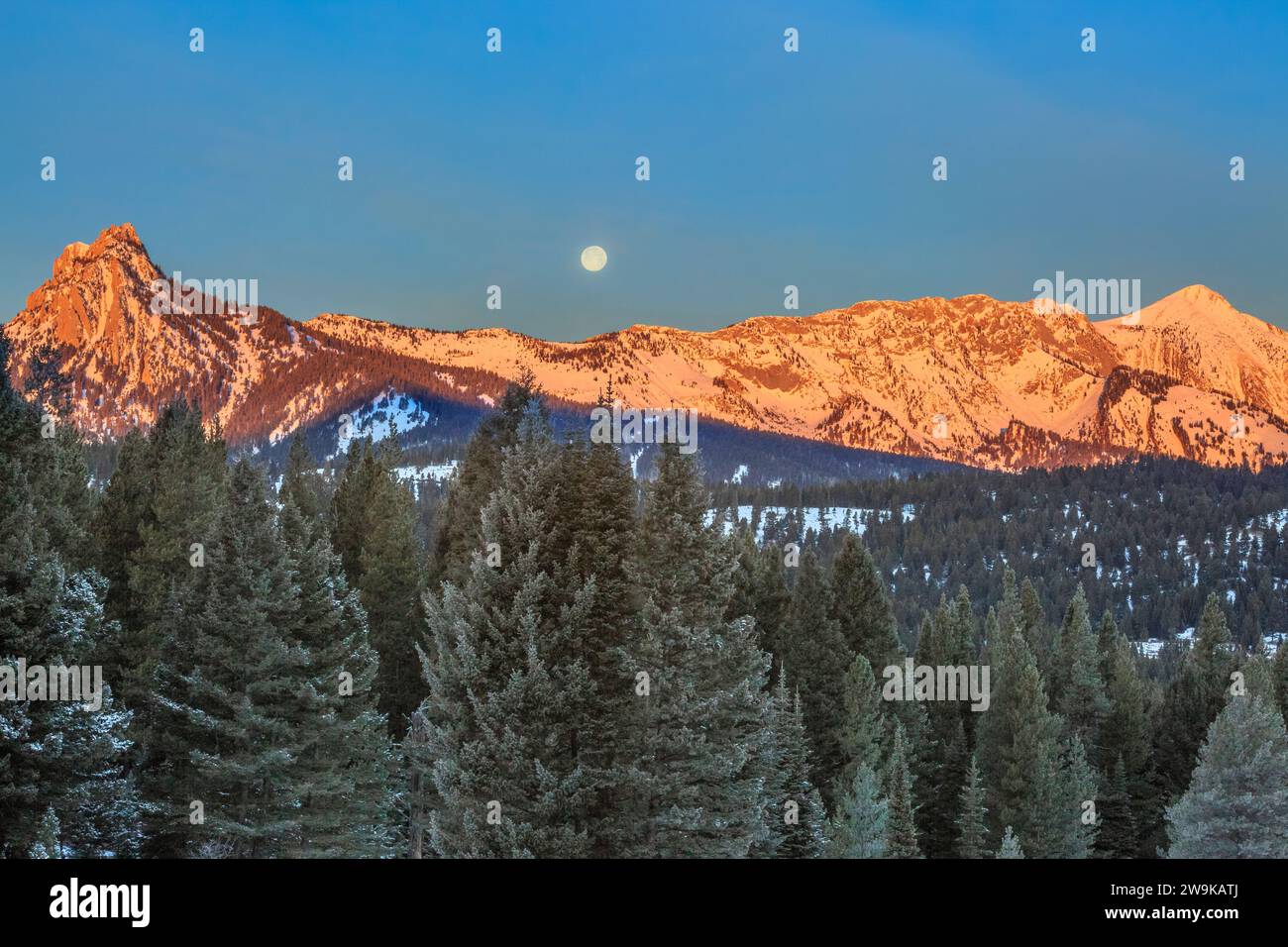 full moon setting at first light over the bridger mountains near ...