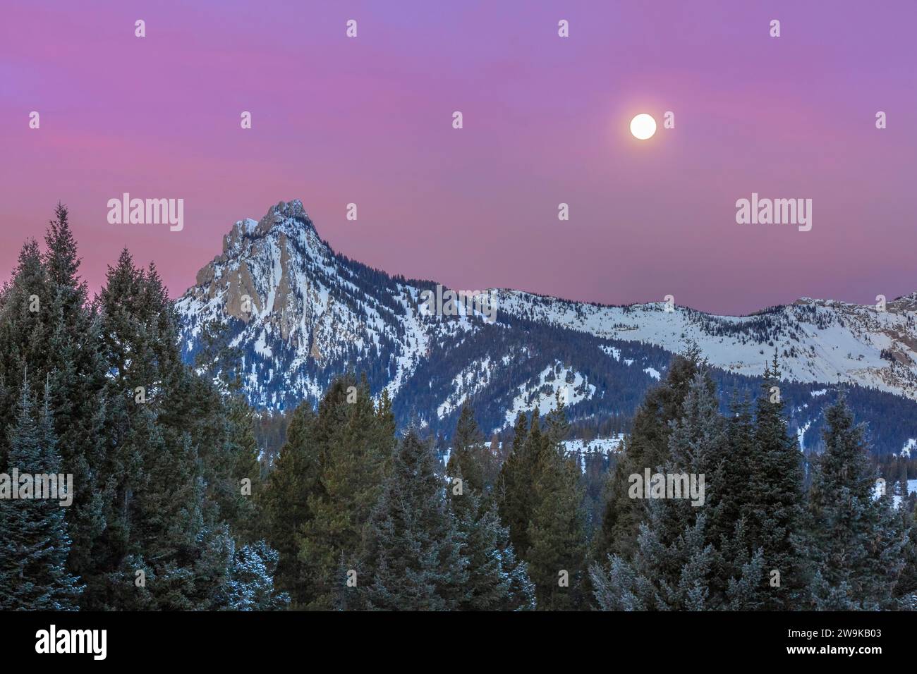 full moon setting in a pre-dawn sky over ross peak in the bridger ...