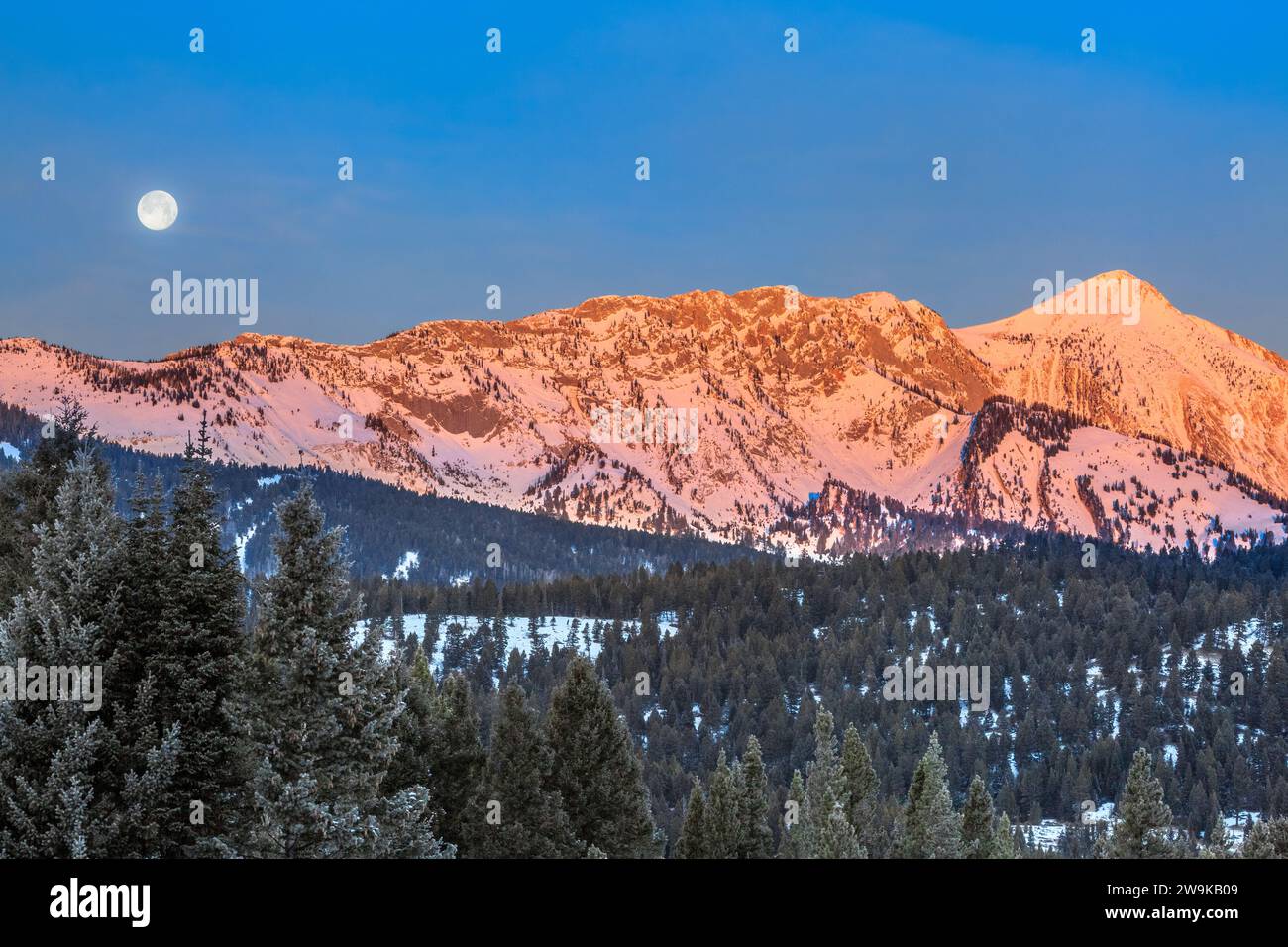 full moon setting at first light over the bridger mountains near ...
