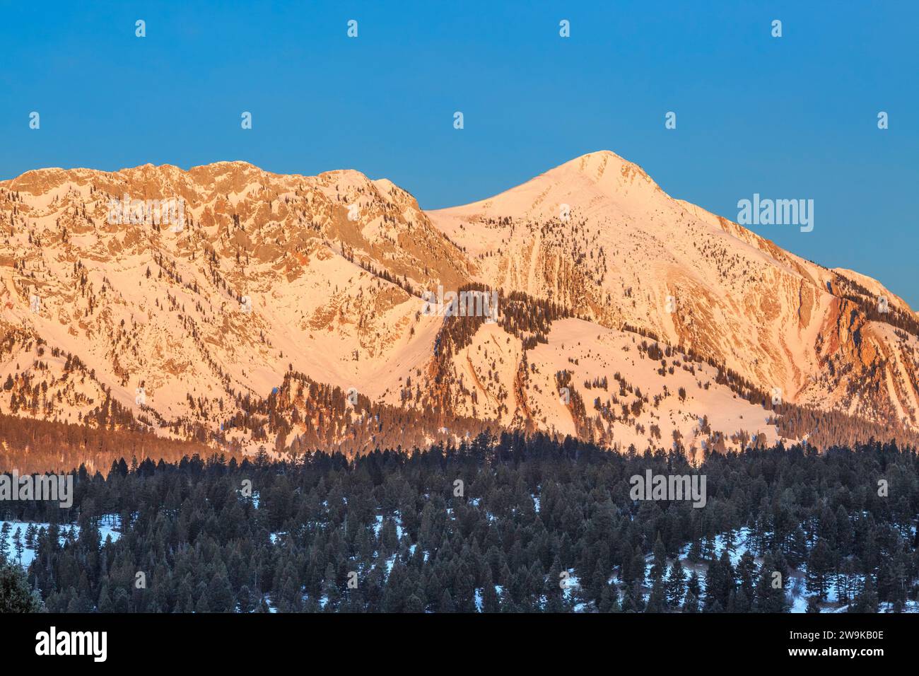 first light on sacagawea peak in the bridger mountains in winter near ...
