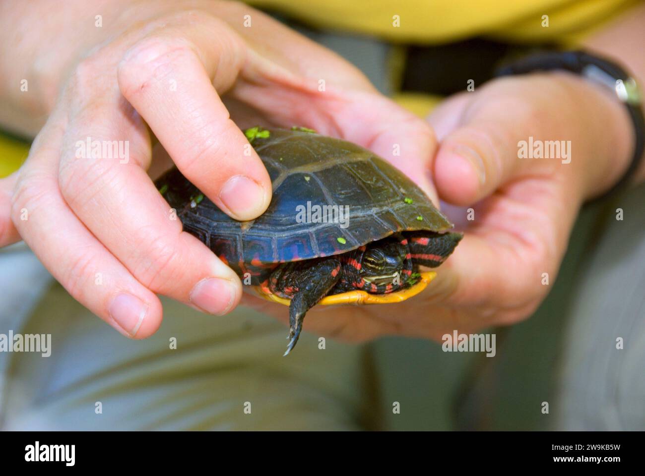 Lock 12 historical park hi-res stock photography and images - Alamy