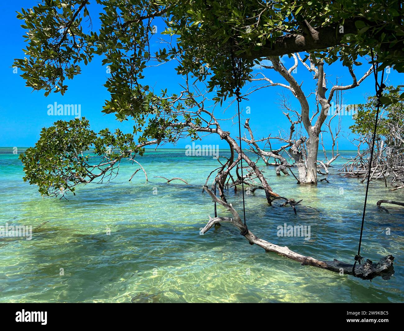 Swing over water, Mud Key, Key West, Florida Stock Photo - Alamy