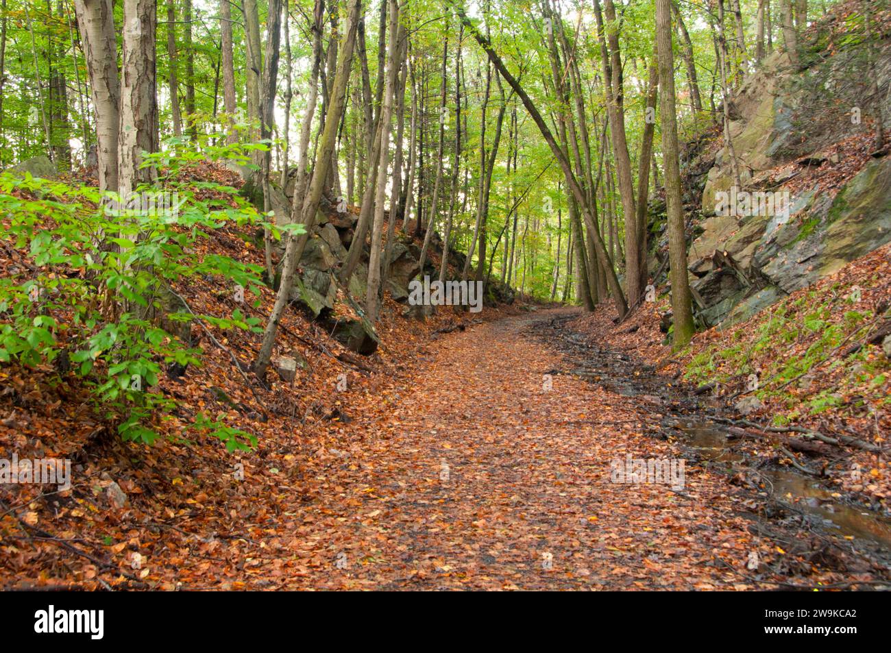 Rail-trail, Larkin State Park Trail, Connecticut Stock Photo - Alamy