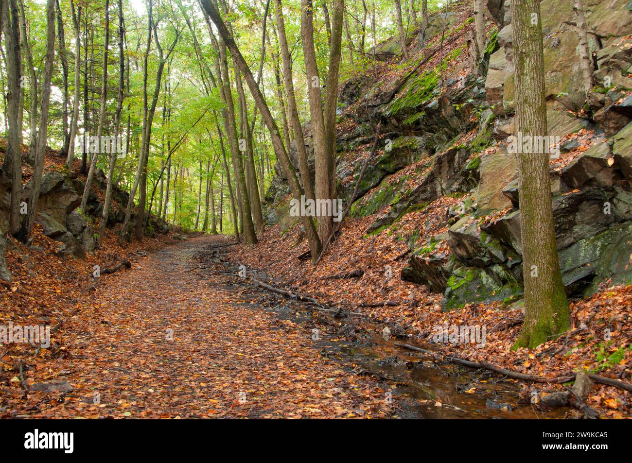 Rail-trail, Larkin State Park Trail, Connecticut Stock Photo - Alamy