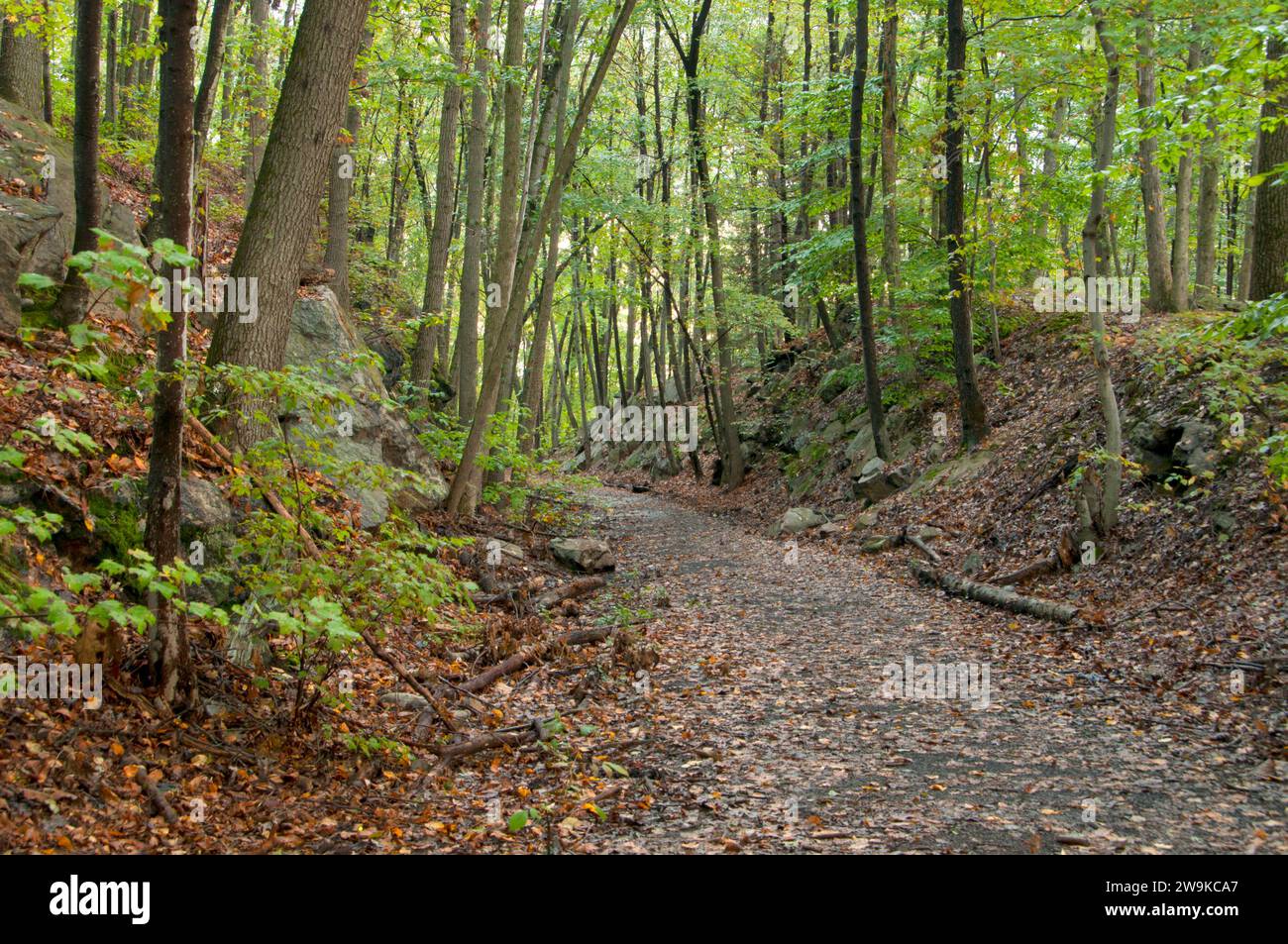 Rail-trail, Larkin State Park Trail, Connecticut Stock Photo - Alamy