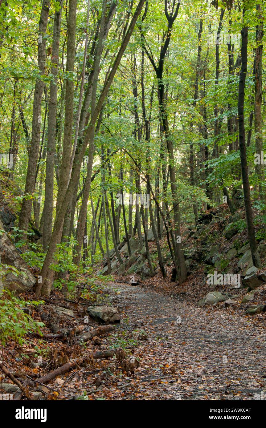 Rail-trail, Larkin State Park Trail, Connecticut Stock Photo - Alamy