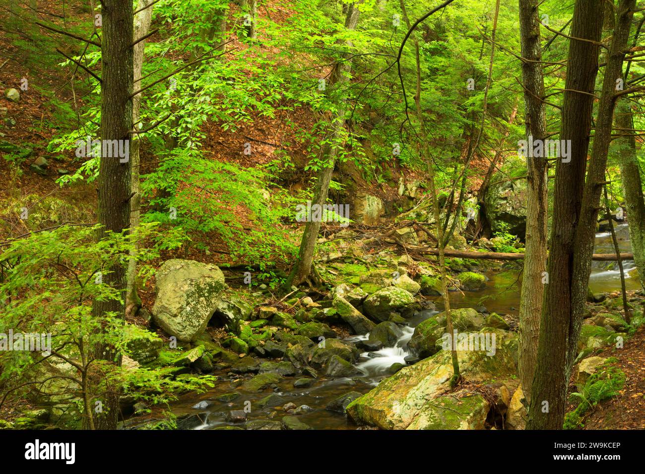 Kettletown Brook along Brook Trail, Kettletown State Park, Connecticut ...
