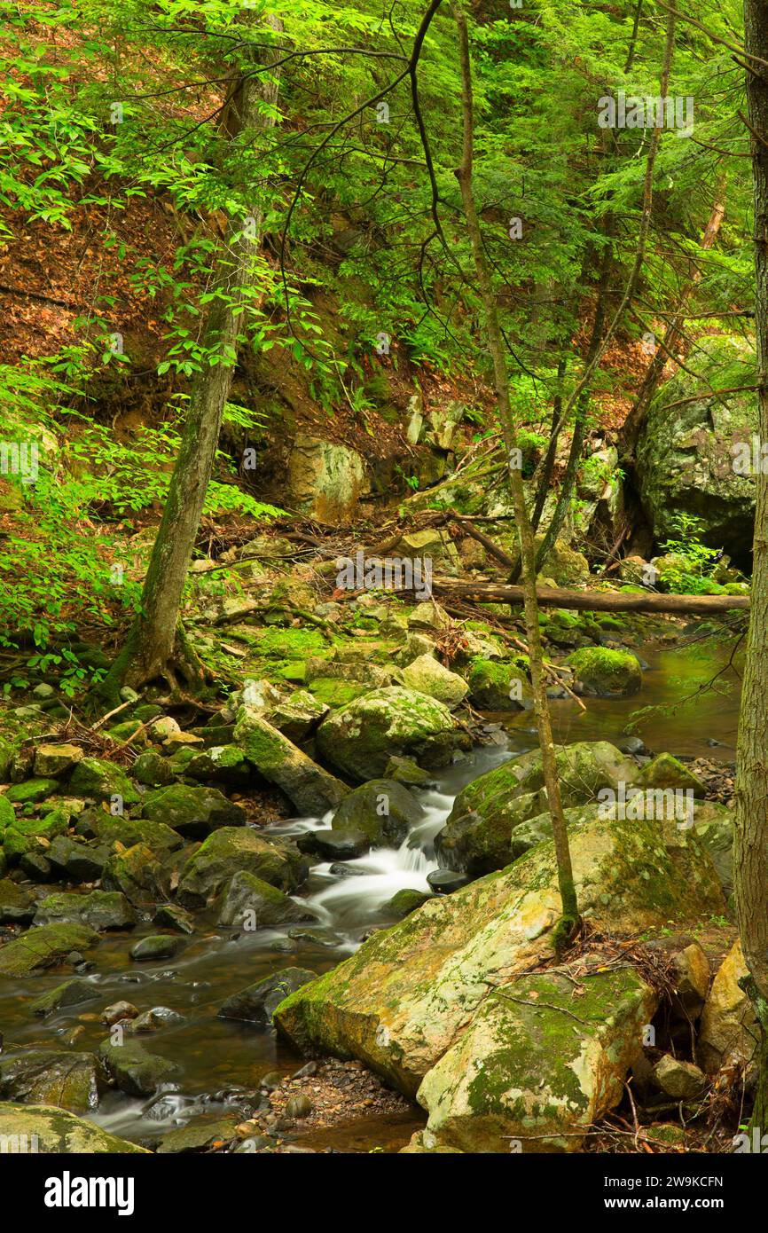 Kettletown Brook along Brook Trail, Kettletown State Park, Connecticut ...