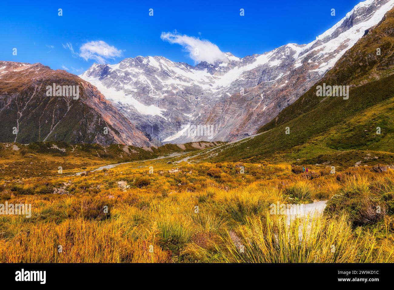 Grassy meadows of scenic valley along Hooker river in Mount Cook ...