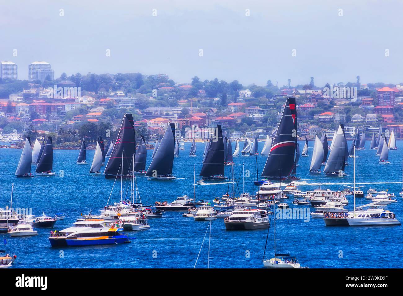 Maxi sailing yachts on Sydney Harbour at start of Sydney Hobart yacht ...