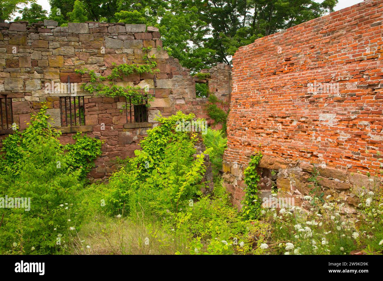 Cellblock ruin, Old New-Gate Prison & Copper Mine Archaeological ...