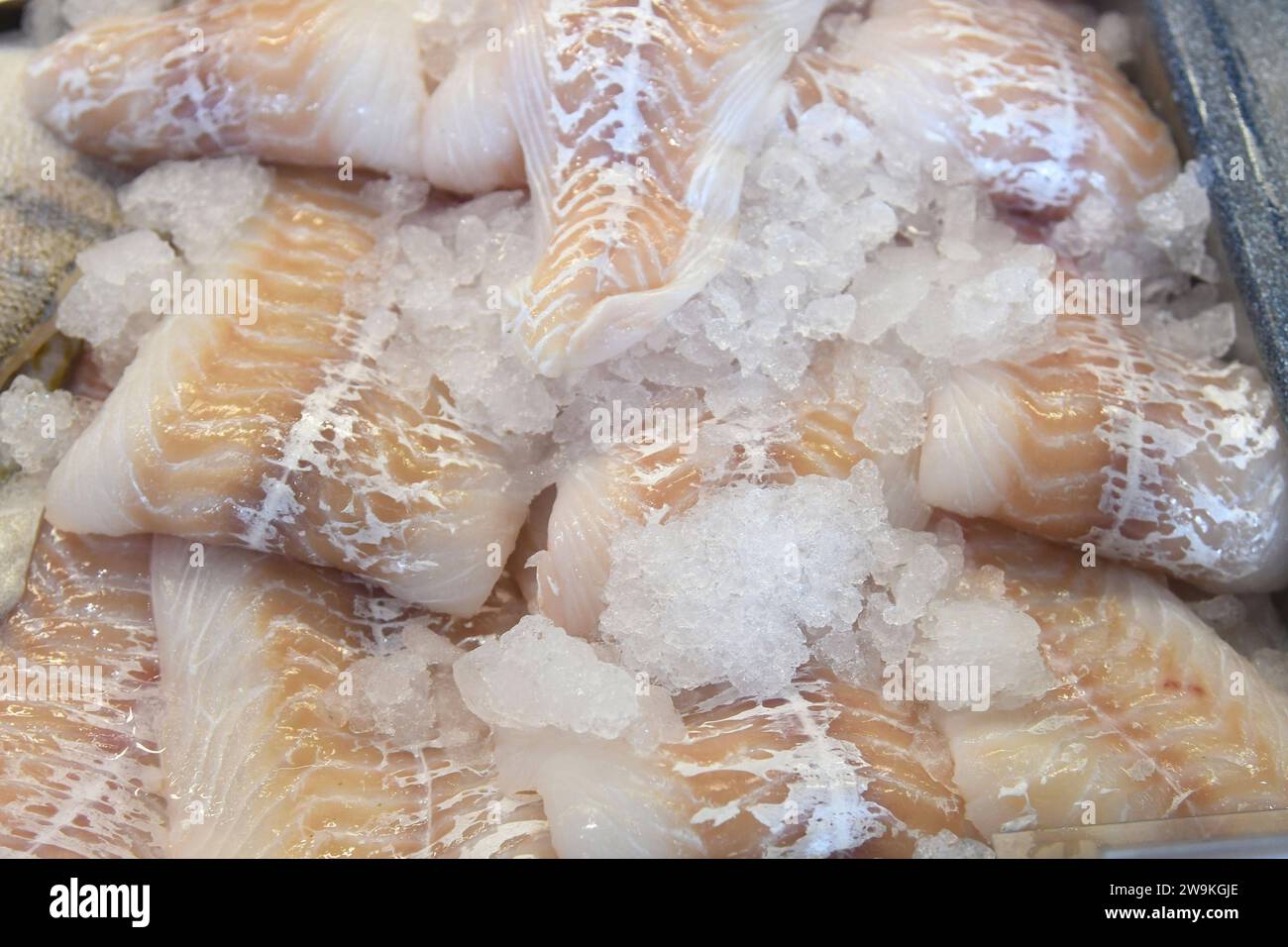 Zanderfilets aus Wildfang im Rostocker Fischmarkt. Angeboten werden ...