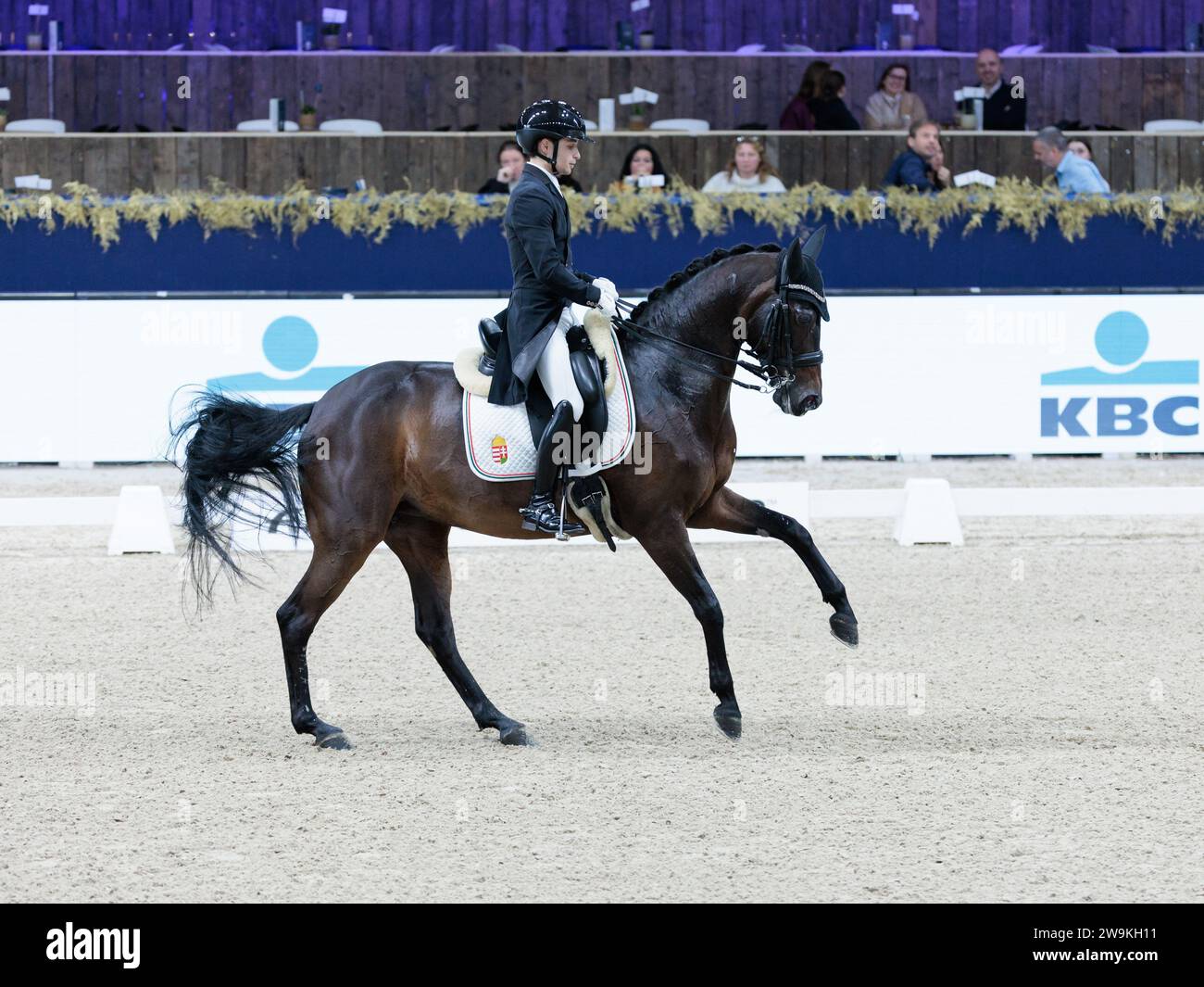 Nekkerhal, Belgium, December 28, 2023, Benedek Pachl of Hungary with ...